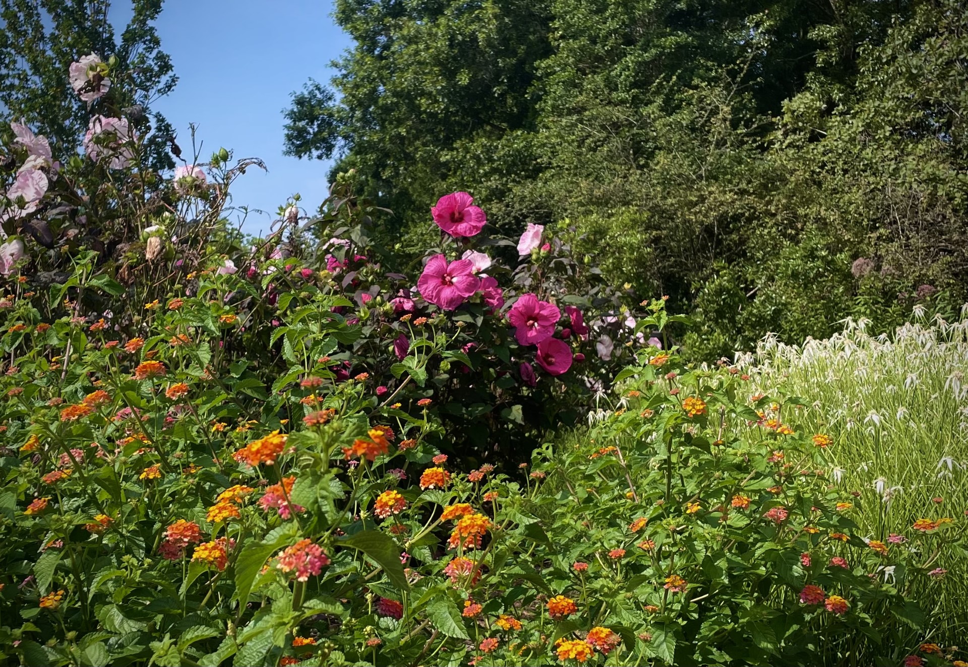 Events - Daniel Stowe Conservancy
